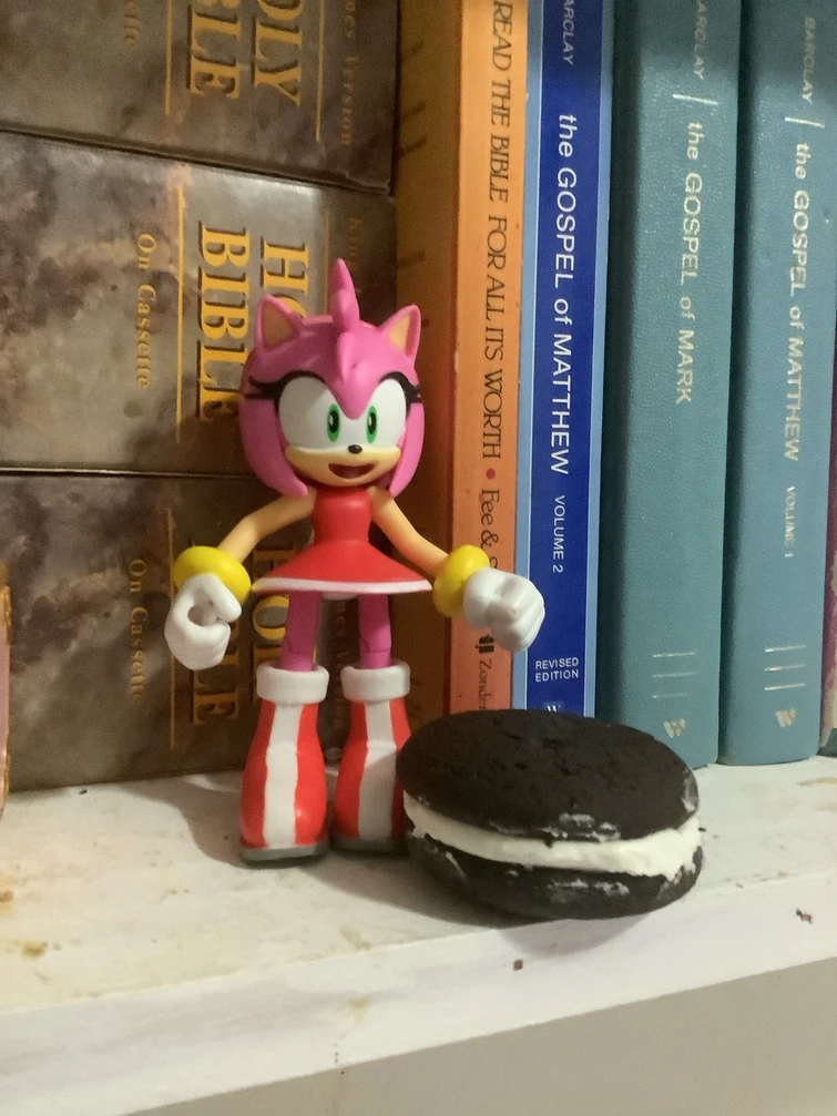 Amy rose with my Oreo cakester | Fandom