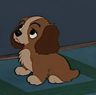 Who should get a rematch for the Disney dog rounds? | Fandom