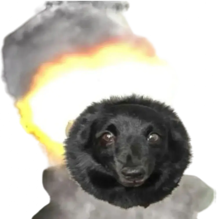 unclaimed giveaway bots | Fandom