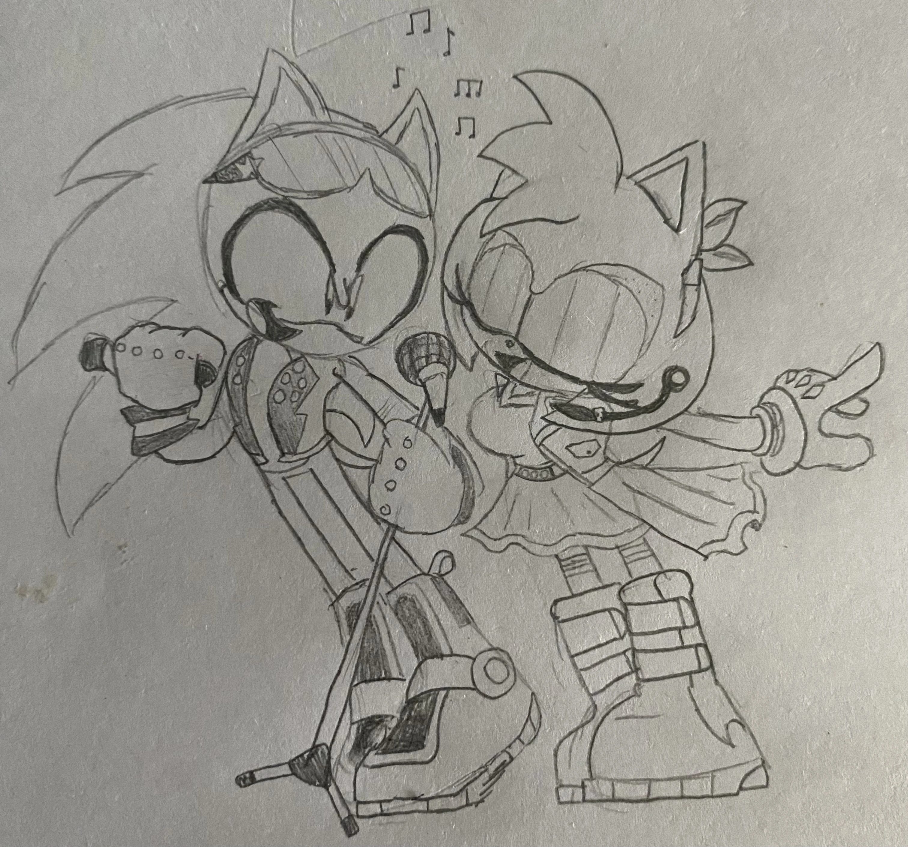 Rockstar Sonic & Popstar Amy | Fandom