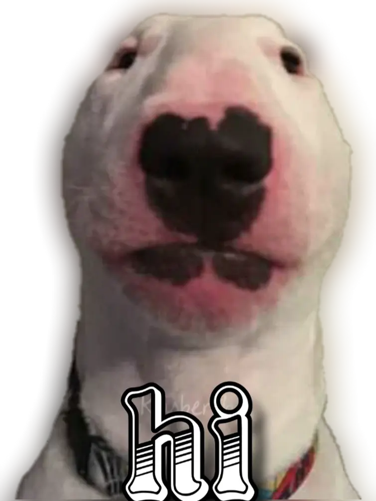 Hewwo. | Fandom