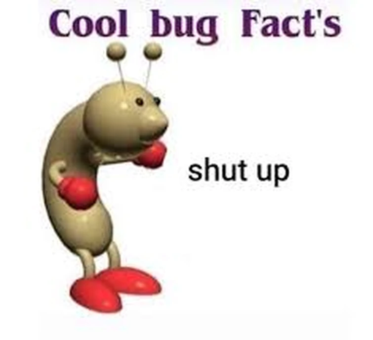 Cool bug fact's | Fandom