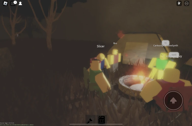 mom look i beat itf 1 crazed cat and crazed tank and got tank cats ...