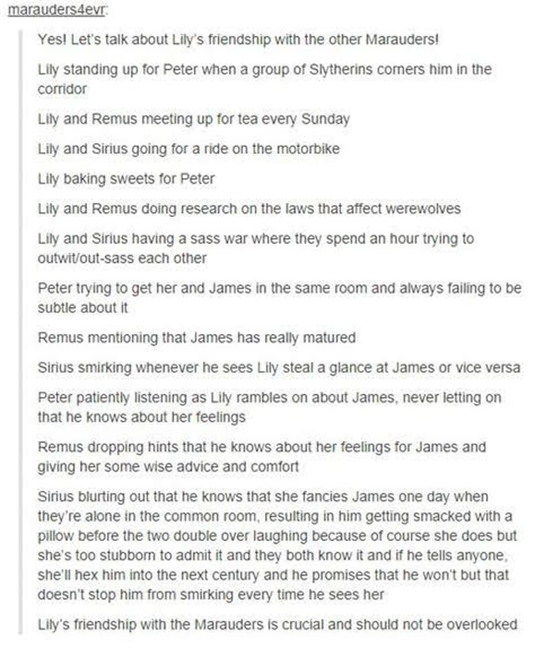 Marauders Headcanons | Fandom