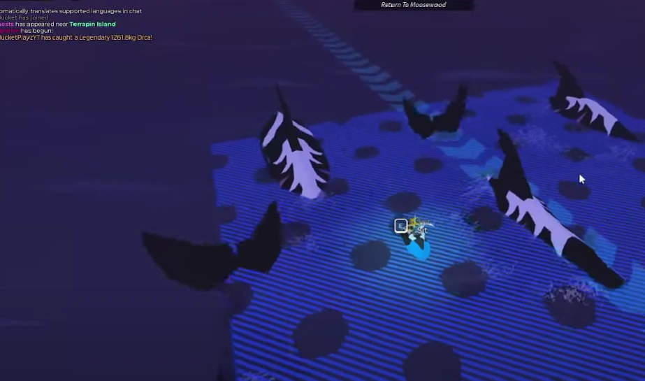 Orca Update Confirmed? | Fandom