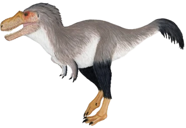 Discuss Everything About Dinopedia | Fandom