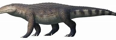 Why Kendyll needed a redesign and you can't do anything about it | Fandom