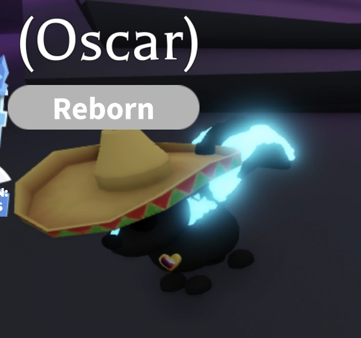 Finally acquired my Dream Pet(TM) | Fandom