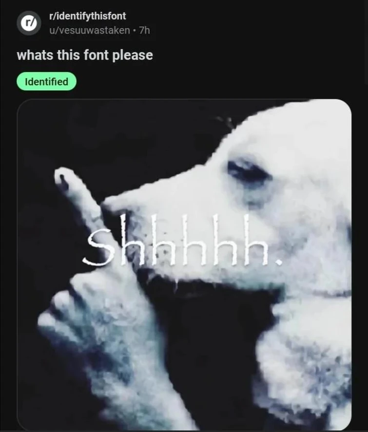 yeucc just said they’re gonna collab with an object show (he didn’t say ...