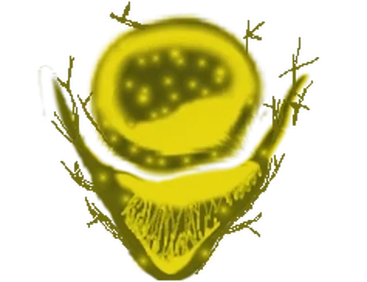 SHARE UR FIRST ENTITY DESIGN HERE | Fandom