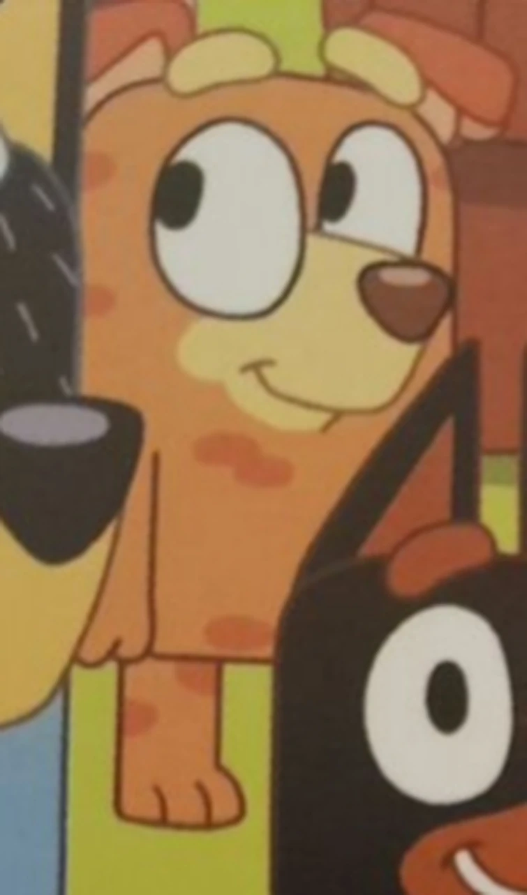 Discuss Everything About Bluey Wiki | Fandom