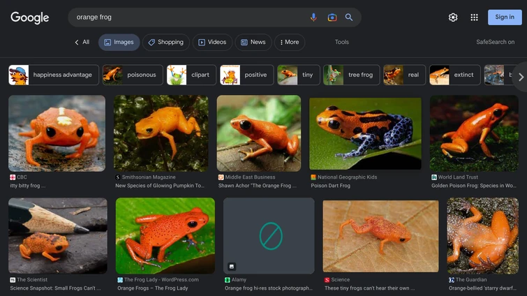 This b##ch sayin there aint orange frogs | Fandom