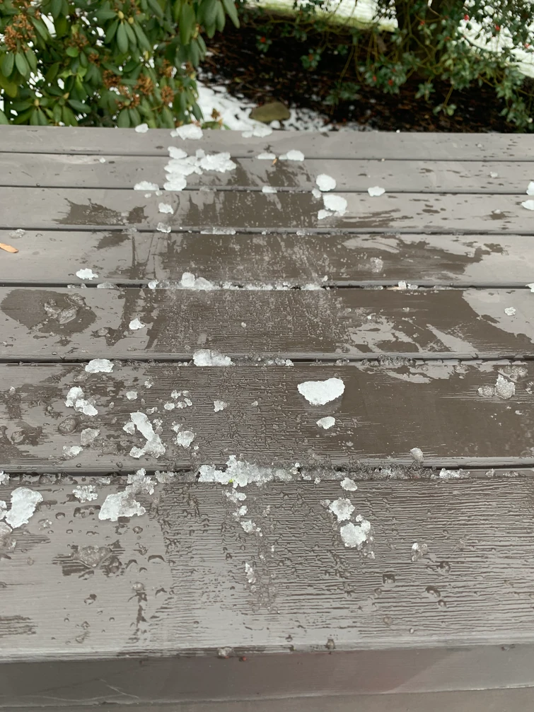 Nah, I’d win | Fandom