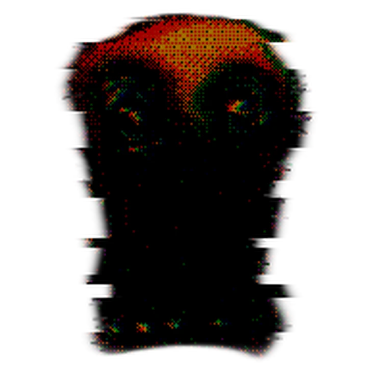 Entity:Snap | Fandom