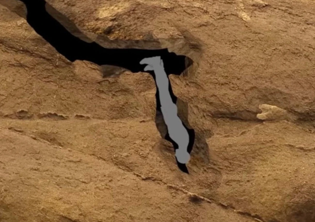 BEST REVEALED ITRAPPED SKIN LOOK | Fandom