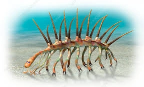 The weird worm | Fandom