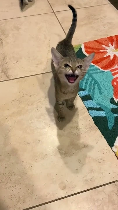 Take a listen to this clip | Fandom