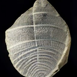 Terrifying Dinosaurs #124: Terataspis | Fandom