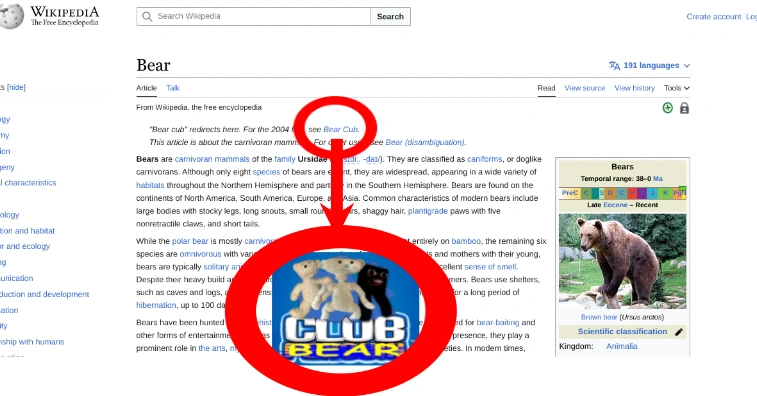 BEAR FOUND IN 4K1!!!11!1!11!1 | Fandom