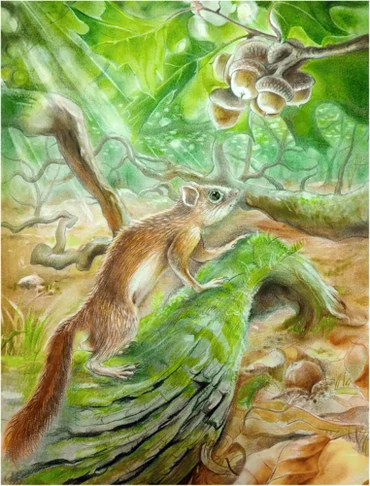 Discuss Everything About Dinopedia | Fandom