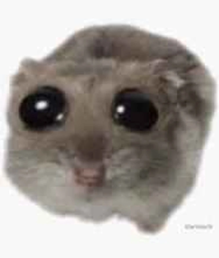 Discuss Everything About Catch! Teenieping Wiki | Fandom