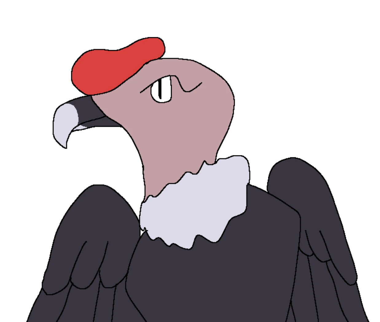 quick condor drawing | Fandom