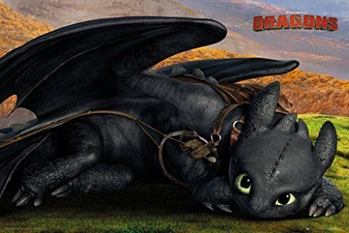 Personal Thoughts On Toothless! | Fandom