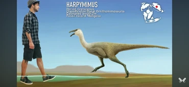 Better Ornithomimid? | Fandom