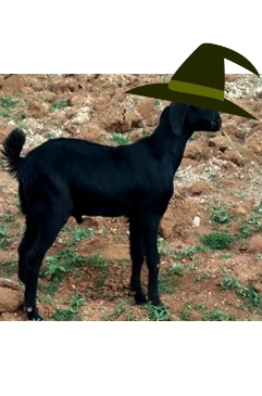 The Lancer Fan Club | Fandom