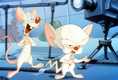 Pinky and the Brain | 90s Cartoons 2 Wiki | Fandom