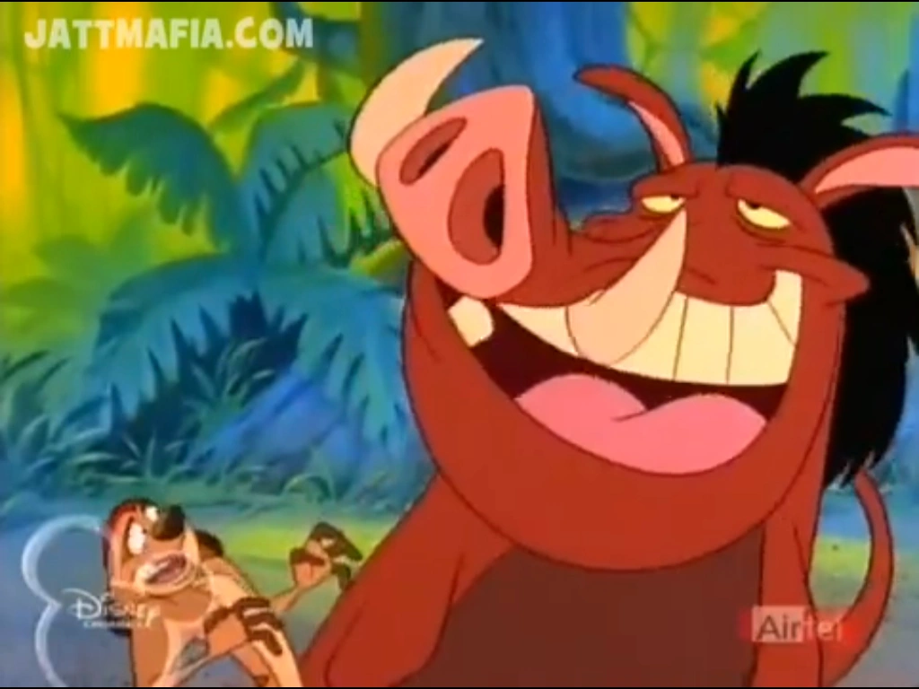 Timon & Pumbaa | 90s Cartoons 2 Wiki | Fandom