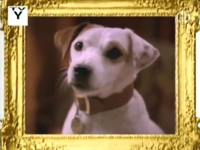 Wishbone | 90s Cartoons 2 Wiki | Fandom