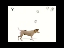 Wishbone | 90s Cartoons Wiki | Fandom