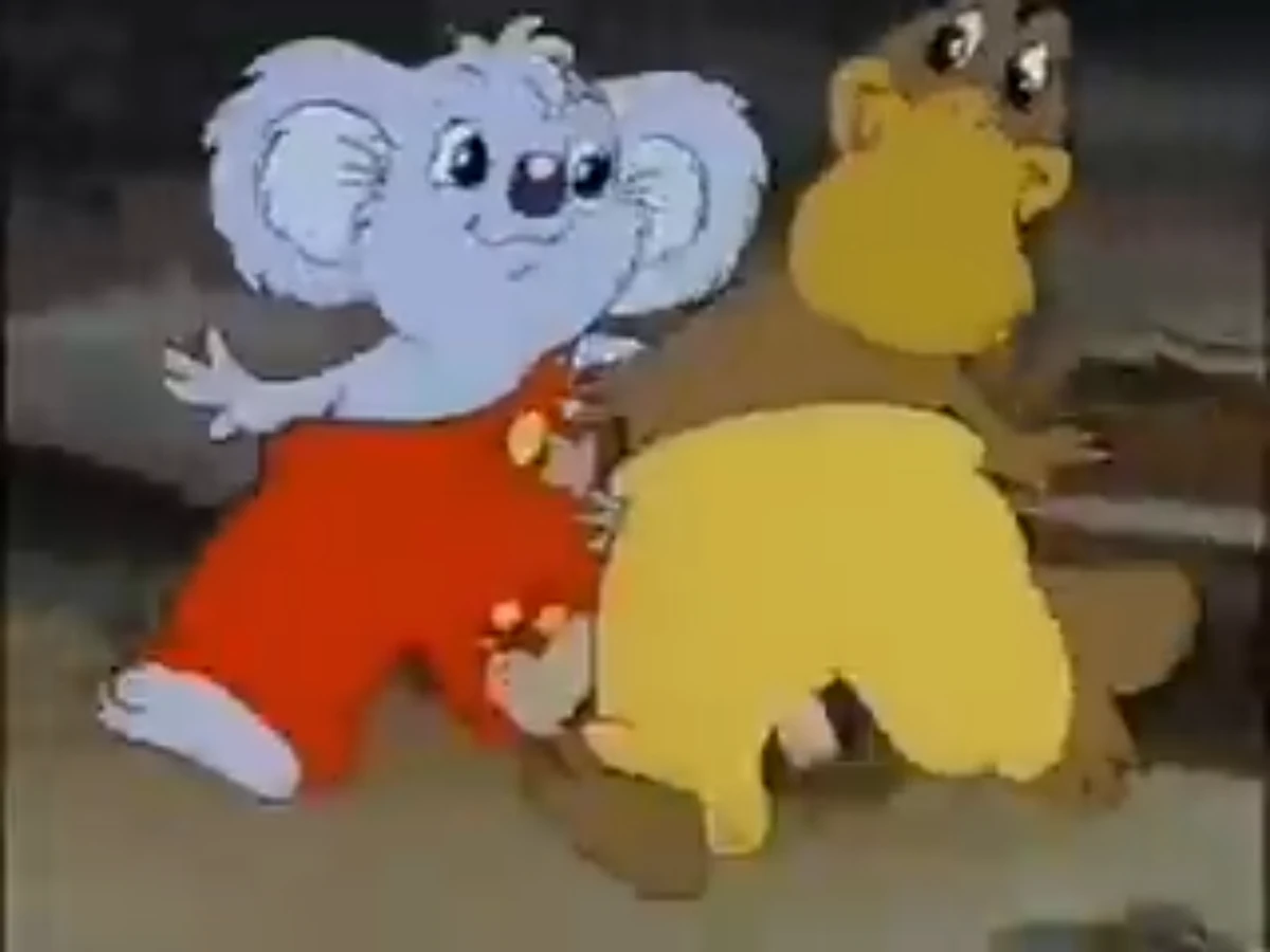 Blinky Bill | 90s Cartoons Wiki | Fandom