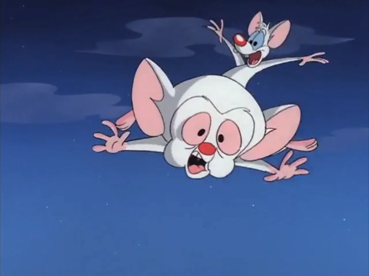 Pinky and the Brain | 90s Cartoons Wiki | Fandom