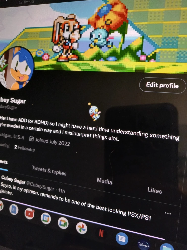 My custom Jet the Hawk cursor for my use of this wiki! | Fandom