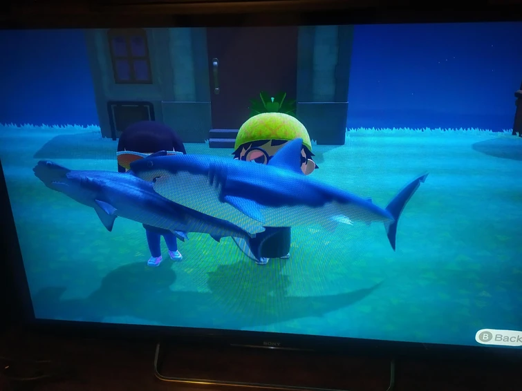 Discuss Everything About Animal Crossing Wiki | Fandom