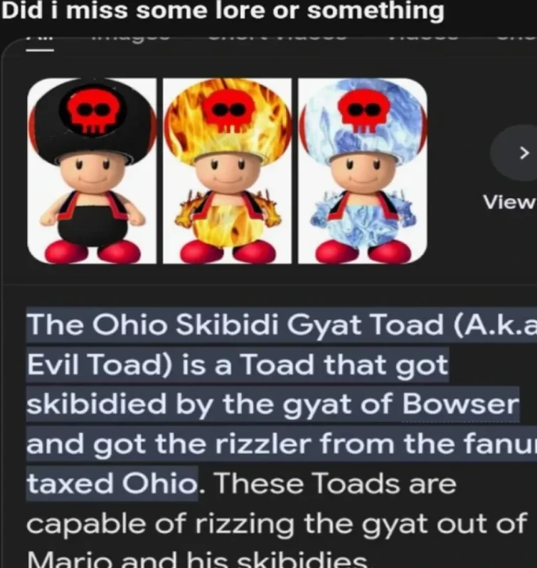 guys we need to stop the ohio skibidi gyat toad | Fandom