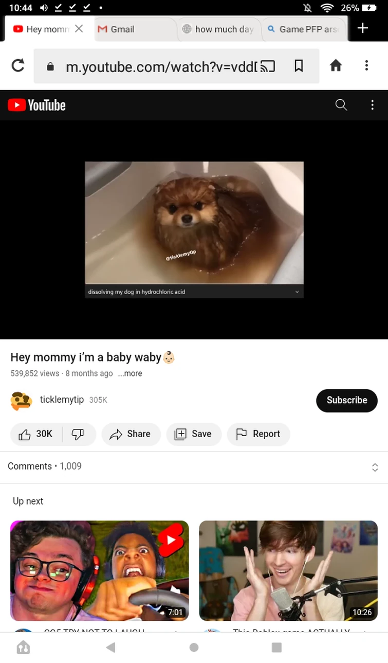 Pov: NEW MOD! Dog dissolving | Fandom
