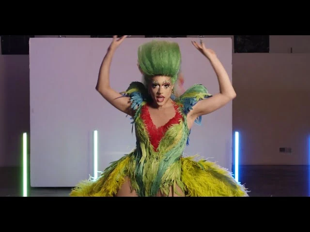 Denali's Chicago Drag Excellence Video!! | Fandom