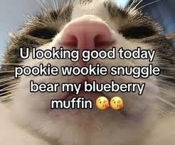 Hai pookie wookies | Fandom