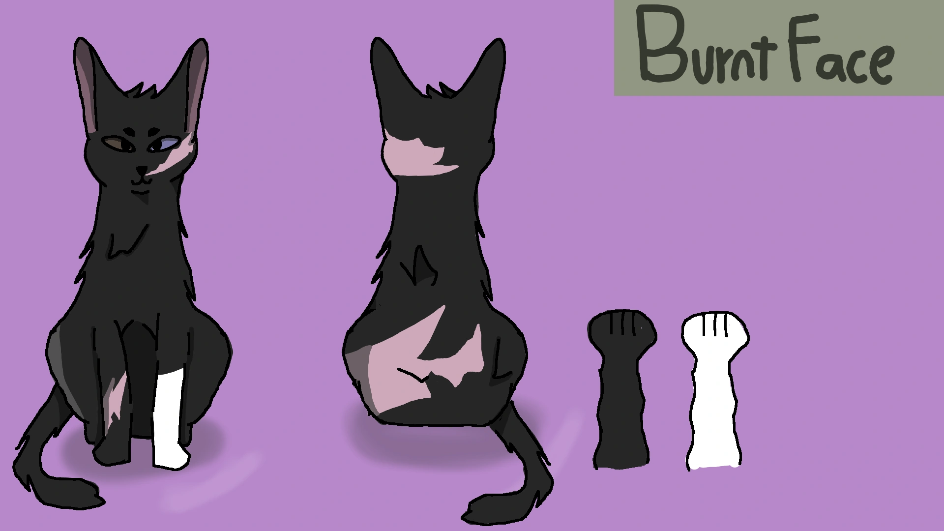first ref sheet!! | Fandom