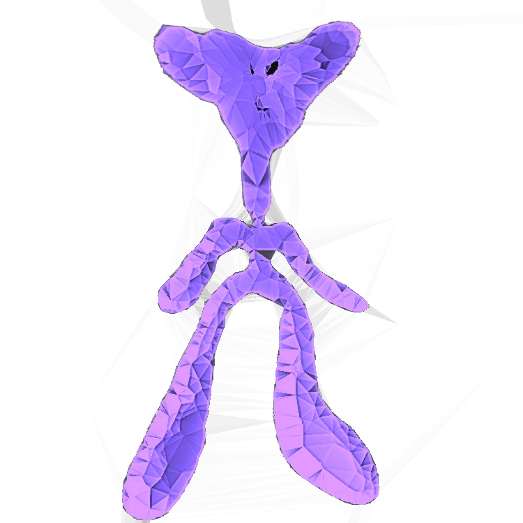 Wonky baka skin | Fandom