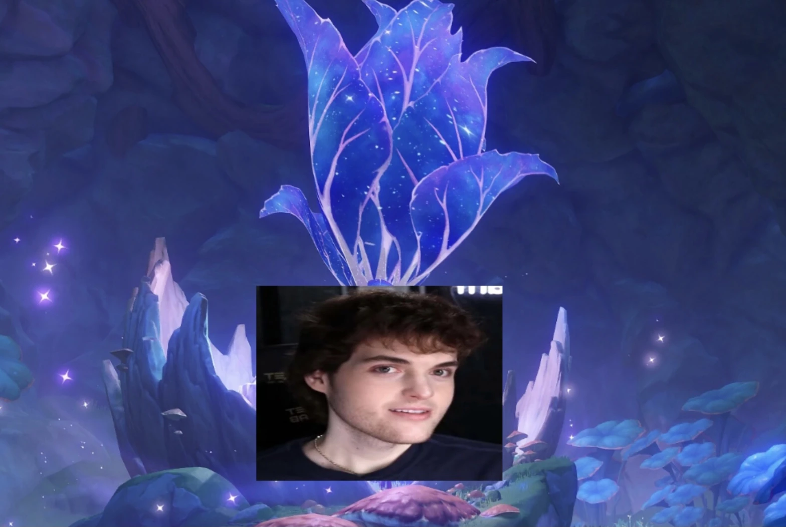 tree of dream | Fandom