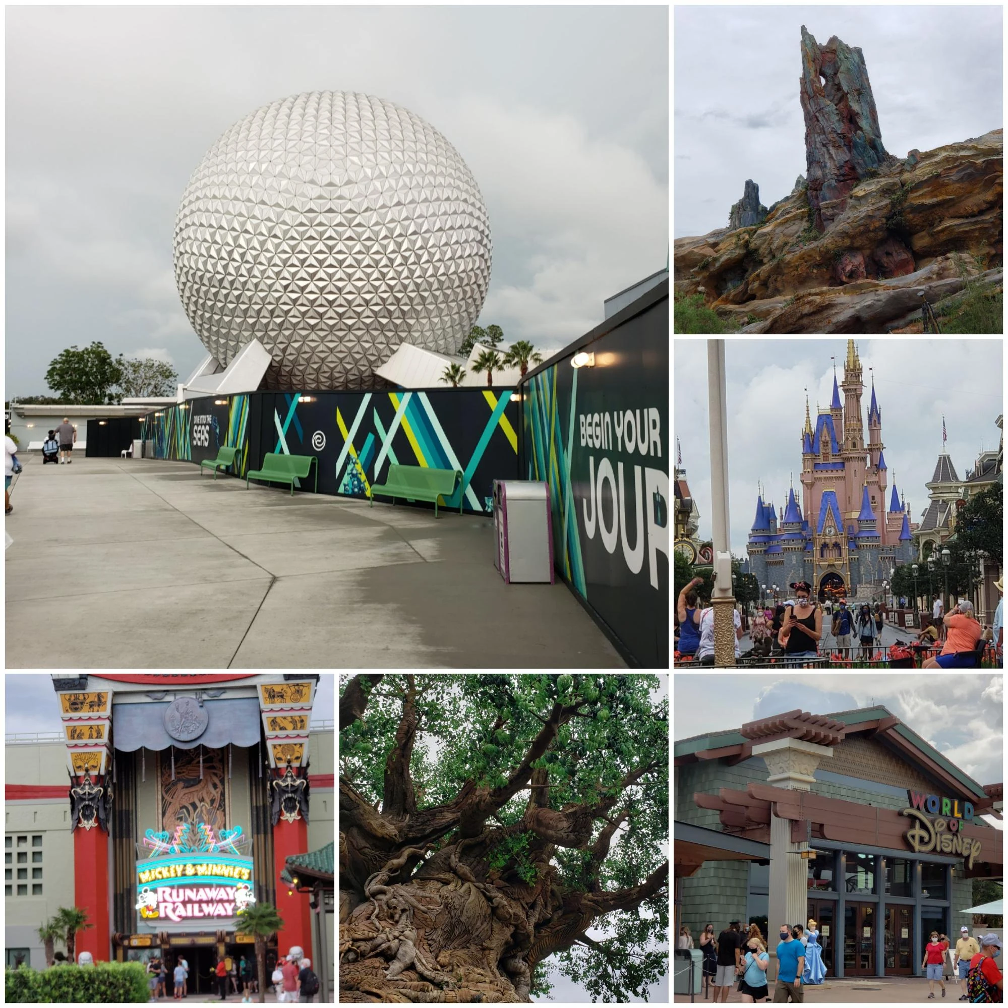 Walt Disney World Collage! | Fandom