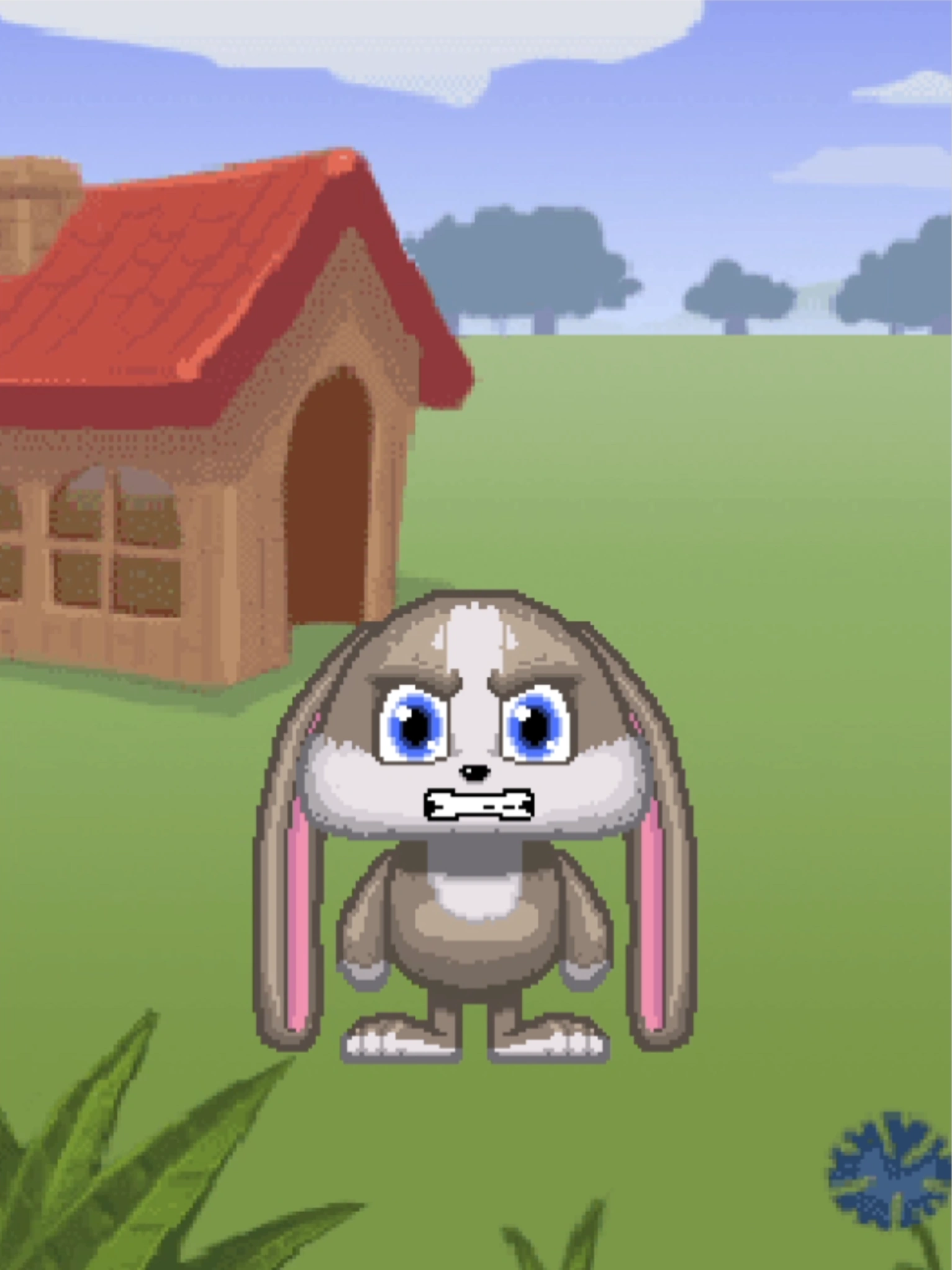 Angry bun | Fandom