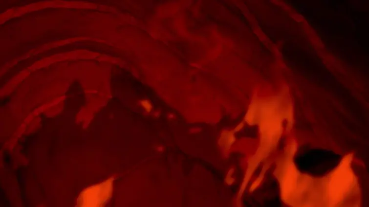 What are you personal thoughts on Scar death is sad or not | Fandom