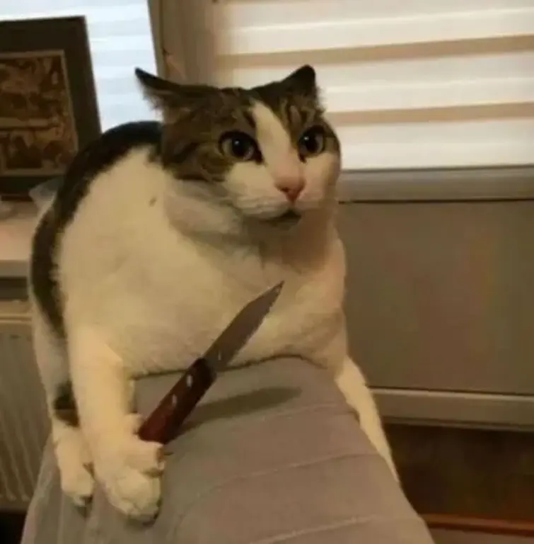 Most upvoted image is my pfp for 1 day | Fandom