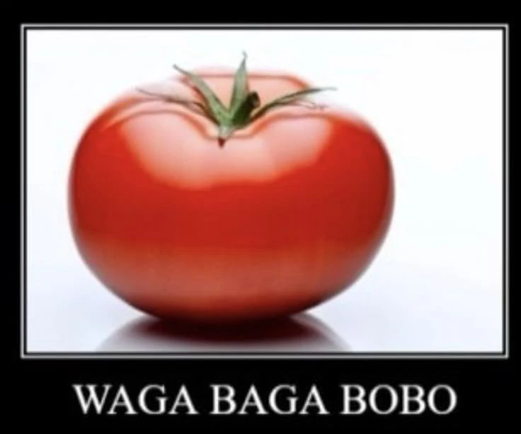 WAGA BAGA BOBO | Fandom