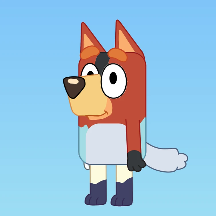 Me As Bluey Characters. Mix Breed Of Kelpie-Collie & Heeler-Labrador ...